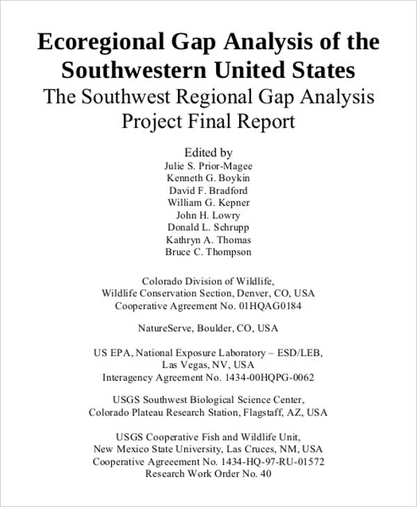 17+ Gap Analysis Report Templates - Word, PDF, Google Docs