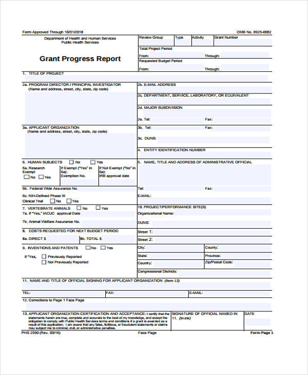 10+ Grant Report Templates