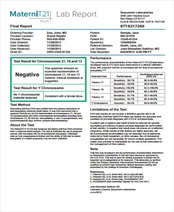 13 Test Report Templates PDF Google Docs Word Apple Pages Format 