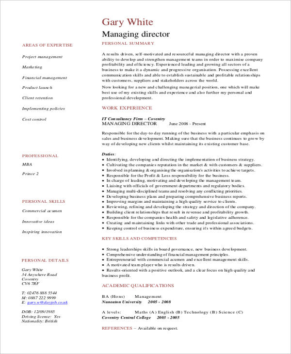 5+ Director Curriculum Vitae Templates - PDF, DOC