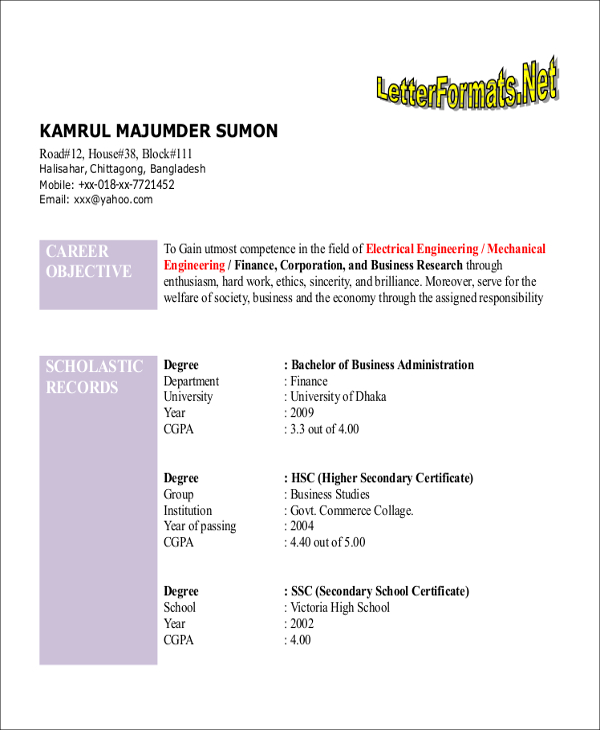 20+ Engineering Resume Templates in PDF