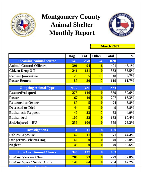 9+ Animal Report Templates - Free Sample, Example Format Download