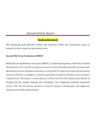 34+ Activity Report Templates - Free Sample, Example Format Download