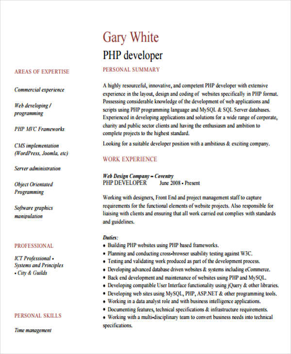 10+ Web Developer Resume Templates - PDF, DOC