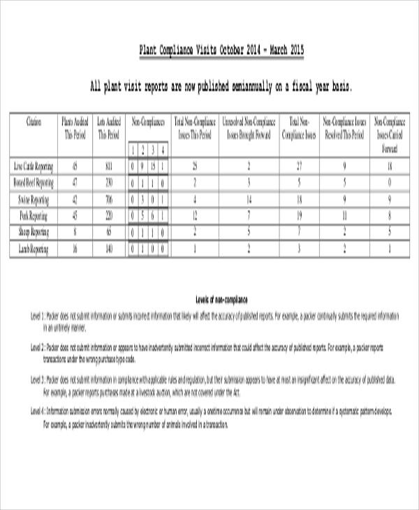 21+ Visit Report Templates - Word, PDF, Doc, Apple Pages Format Download