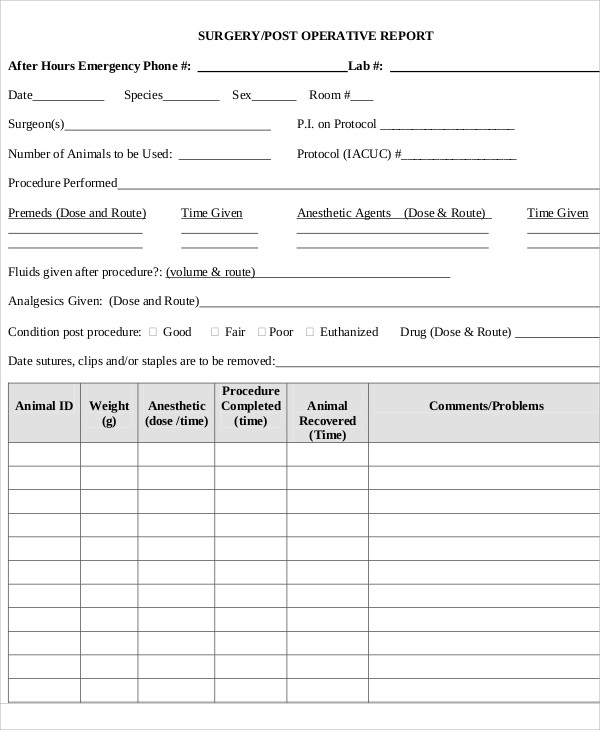 Operative Report Template - 9+ Free Word, PDF Format Download