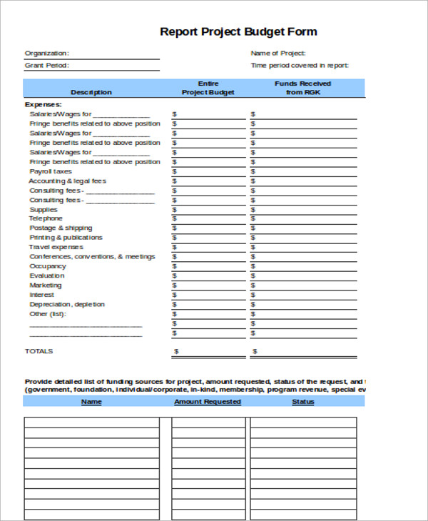 14 Sample Budget Report Templates