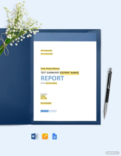 23+ Test Report Templates - Free Word, PDF Format Download