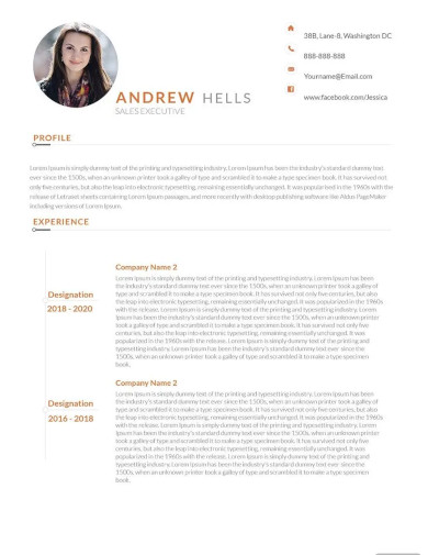 13+ Sales Executive Resume Templates in Word | InDesign | Apple Pages ...