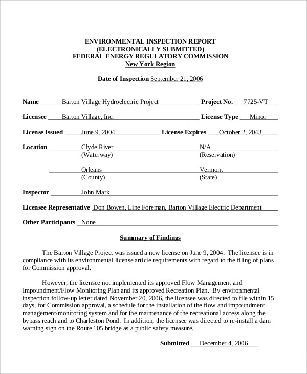 23+ Sample Inspection Report Templates- Docs, Word, Pages