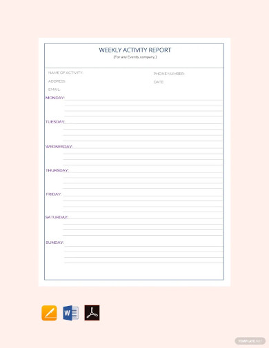 34+ Activity Report Templates - Free Sample, Example Format Download