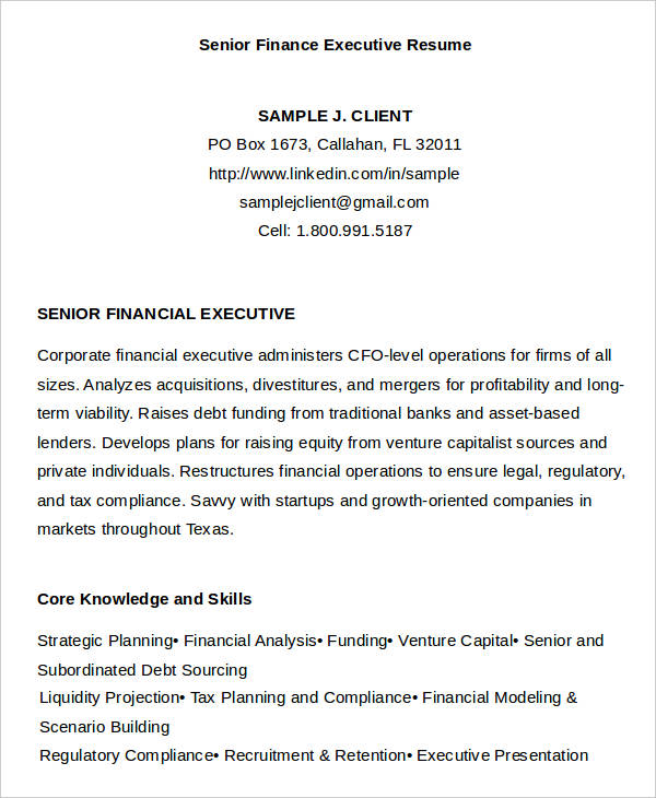20+ Finance Resume Templates - PDF, DOC