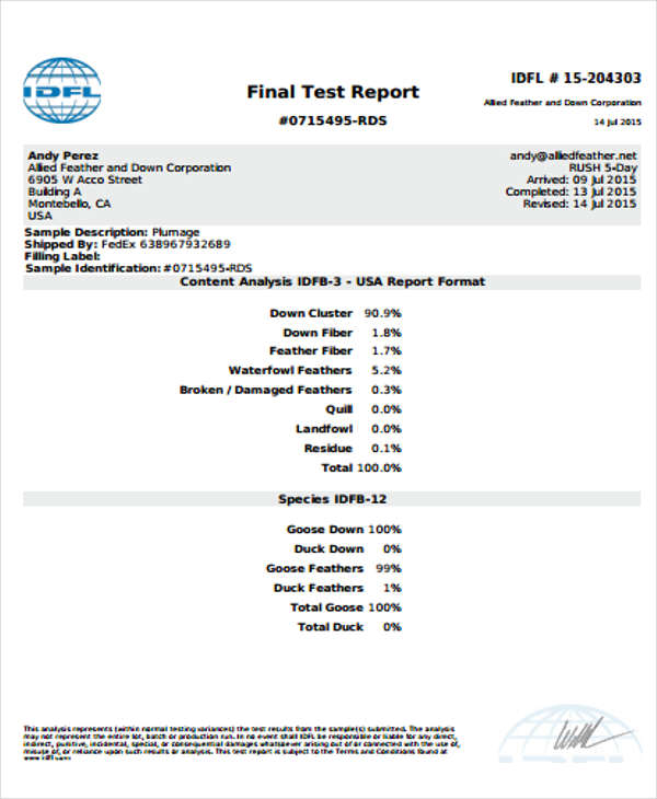 13 Test Report Templates PDF Google Docs Word Apple Pages Format Download