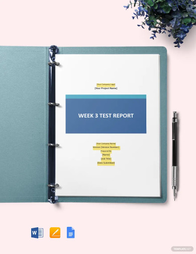 23+ Test Report Templates - Free Word, PDF Format Download