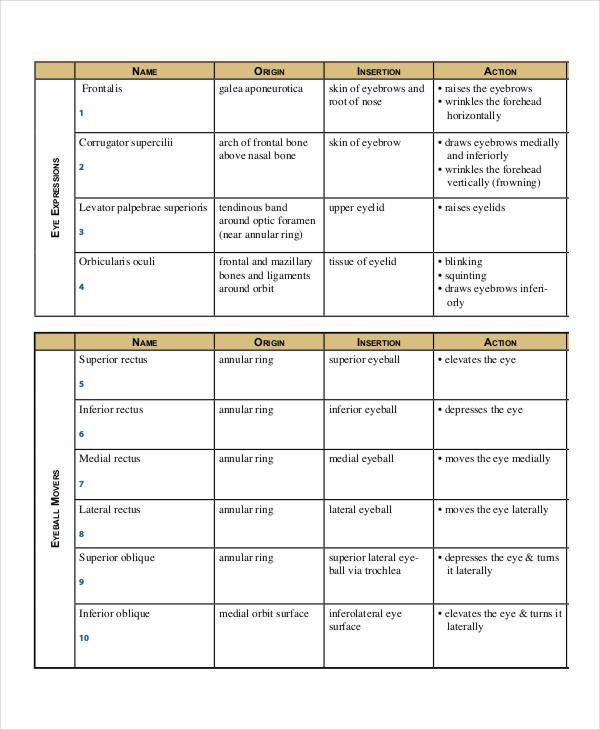 9+ Body Chart Templates - Word, PDF