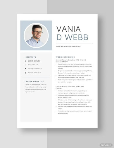 33+ Executive Curriculum Vitae Templates - PDF,DOC