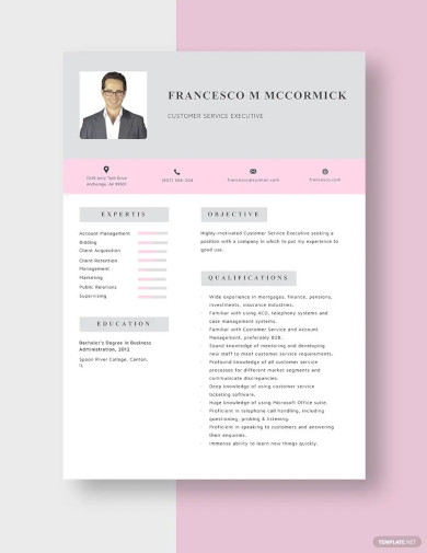 33+ Executive Curriculum Vitae Templates - PDF,DOC