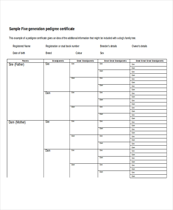 24+ Chart Templates in Word