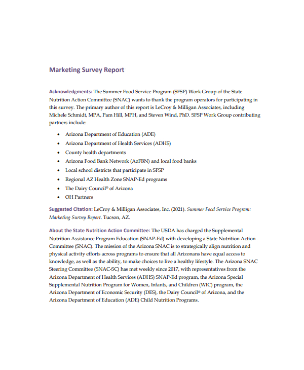 24+ Sample Marketing Report Templates - Docs, Word, PDF