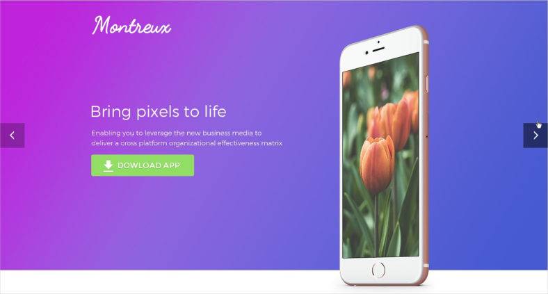 12+ Best Mobile App Landing Page Templates