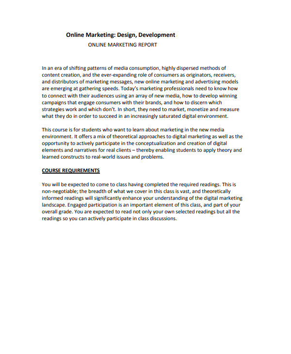 24+ Sample Marketing Report Templates - Docs, Word, PDF