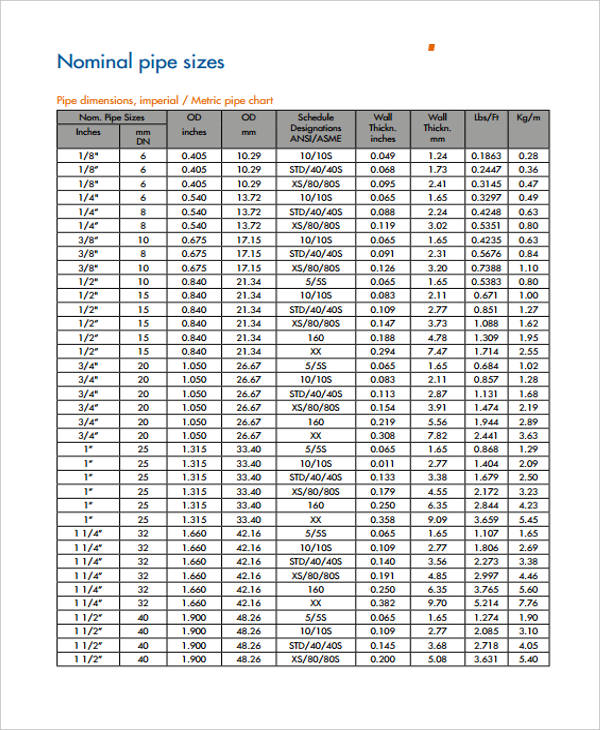 Measurement Chart Templates - 9+ Free Sample, Example Format Download