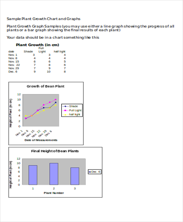 24+ Chart Templates in Word
