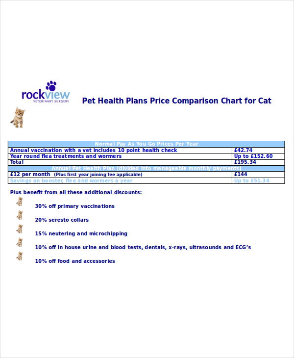 24+ Chart Templates in Word