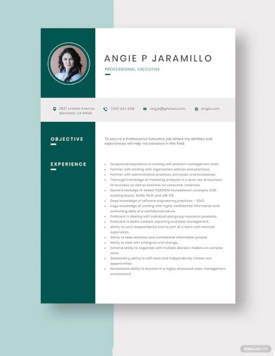 33+ Executive Curriculum Vitae Templates - PDF,DOC