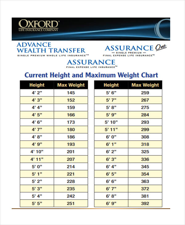 Measurement Chart Templates - 9+ Free Sample, Example Format Download