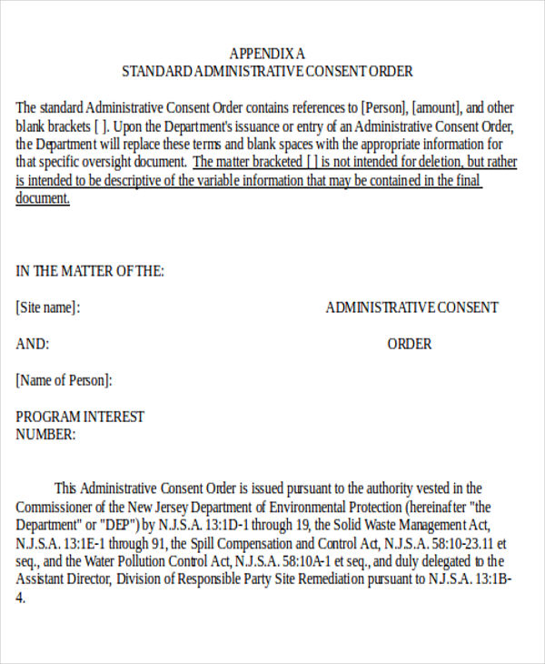 8+ Consent Order Templates - Free Sample, Example Format Download