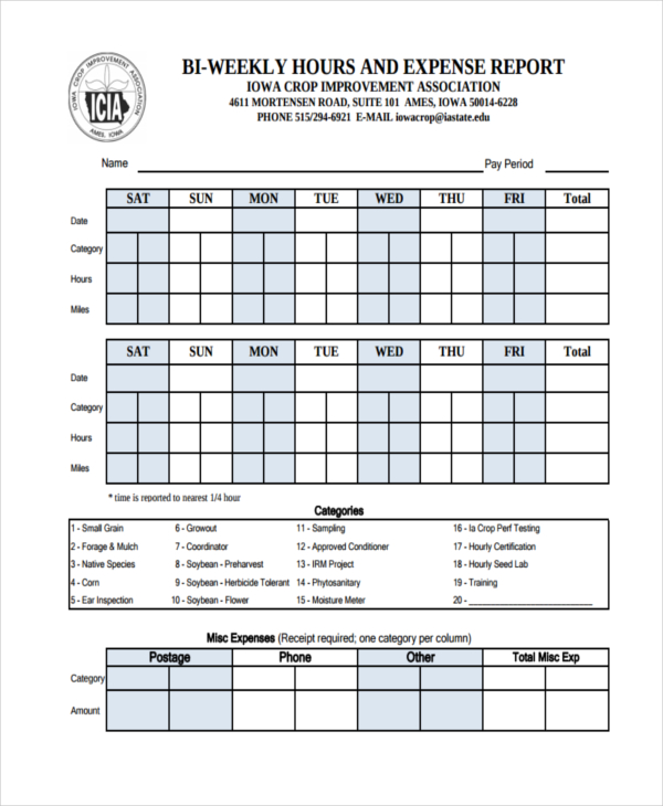 45+ Sample Weekly Report Templates - Word, PDF