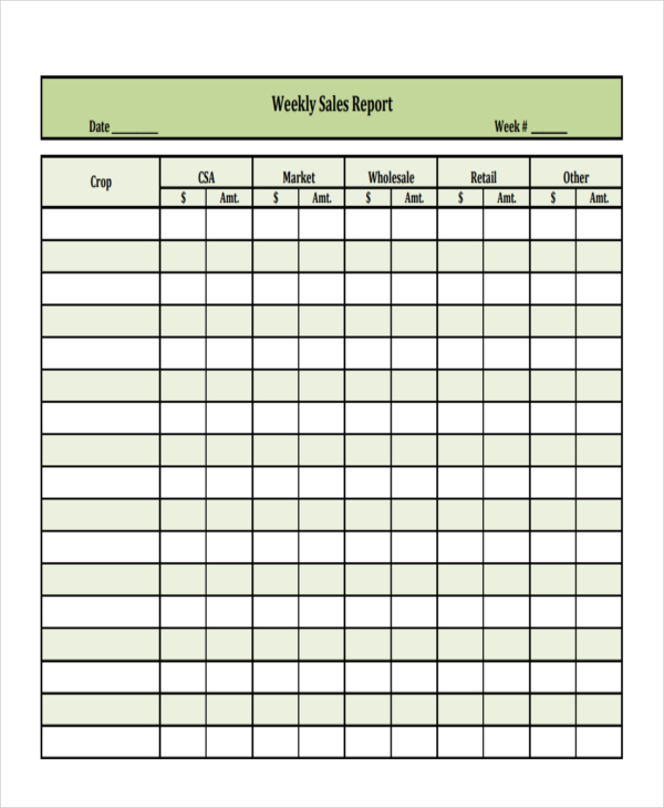45+ Sample Weekly Report Templates - Word, PDF