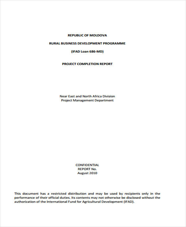 58+ Project Report Samples - Word, PDF, Docs