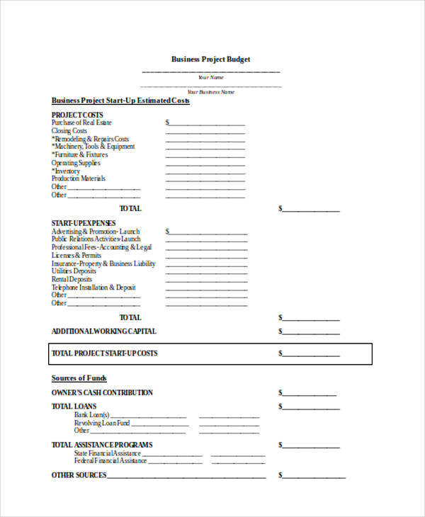 20+ Budget Templates in Word