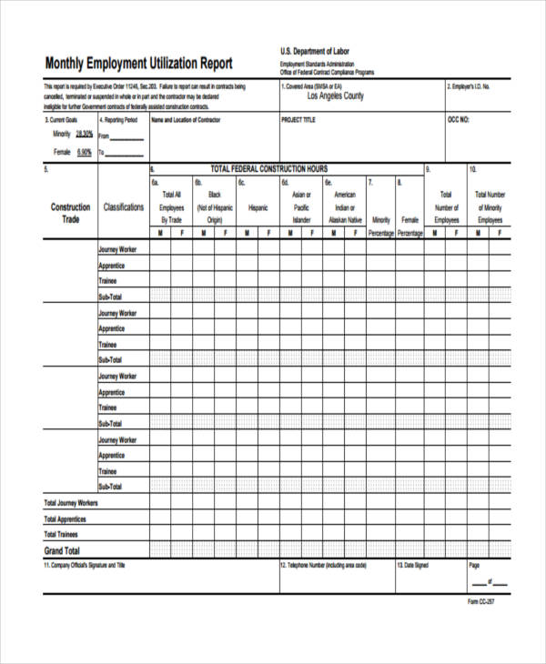 64 Monthly Report Samples Word Docs