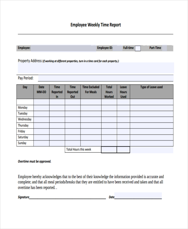45 Sample Weekly Report Templates Word PDF