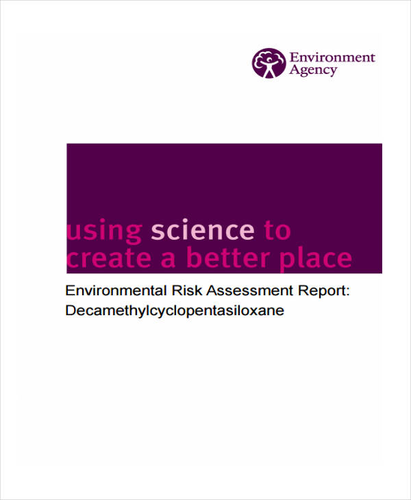 41+ Risk Assessment Templates in PDF