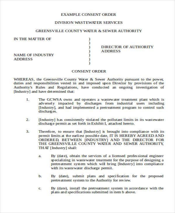 8+ Consent Order Templates - Free Sample, Example Format Download