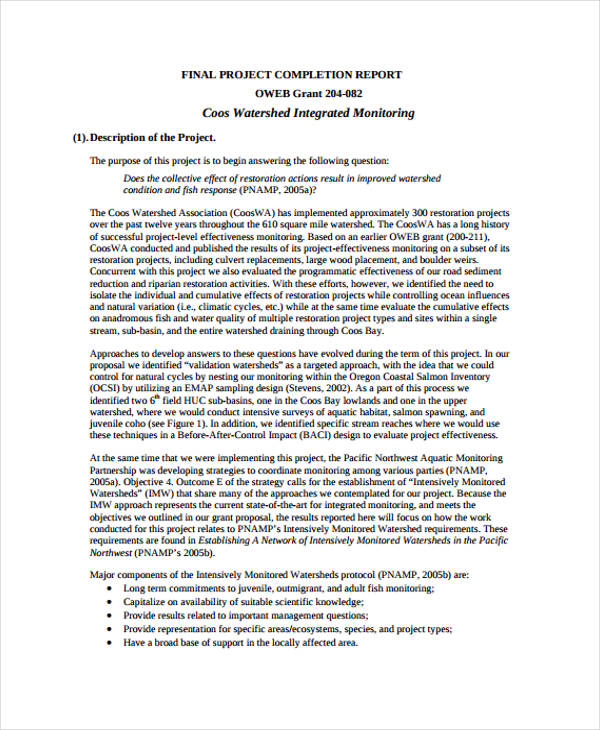 Project Completion Report Sample Doc Classles Democracy