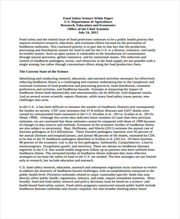 33+ White Paper Templates in PDF