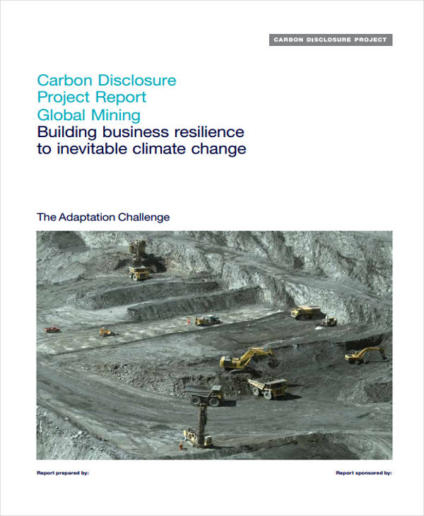 58+ Project Report Samples - Word, PDF, Docs