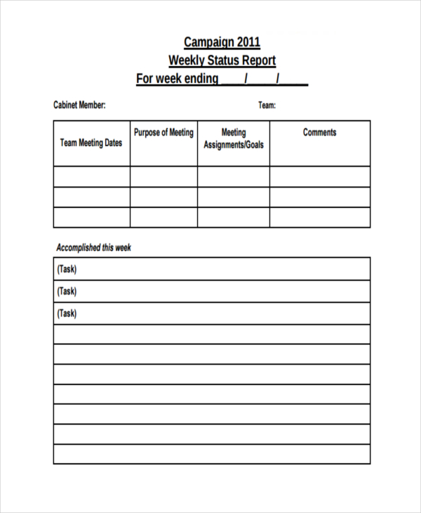 45+ Sample Weekly Report Templates - Word, PDF