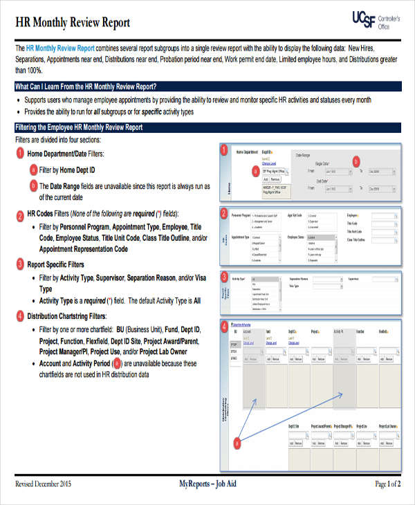 49 Monthly Report Format Templates Word PDF Google Docs Apple 