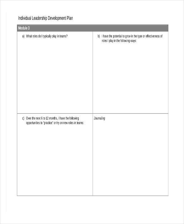 23+ Individual Development Plan Templates -Free Sample, Example Format ...