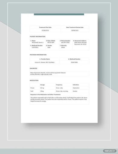 35+ Treatment Plan Templates