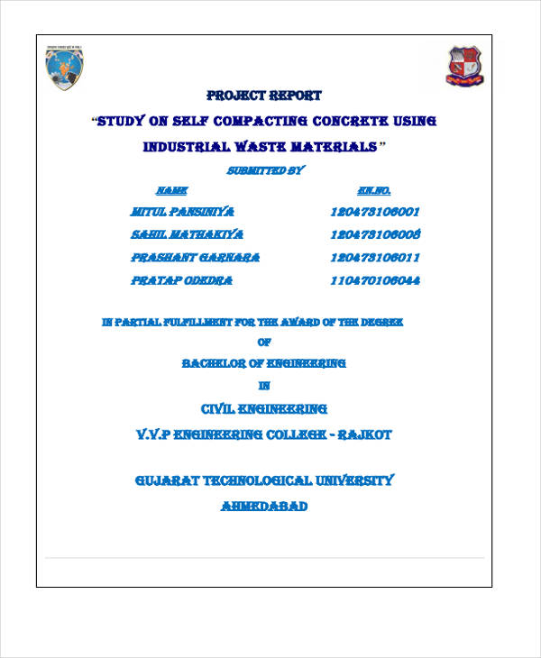 52+ Project Report Formats - Word, PDF, Docs