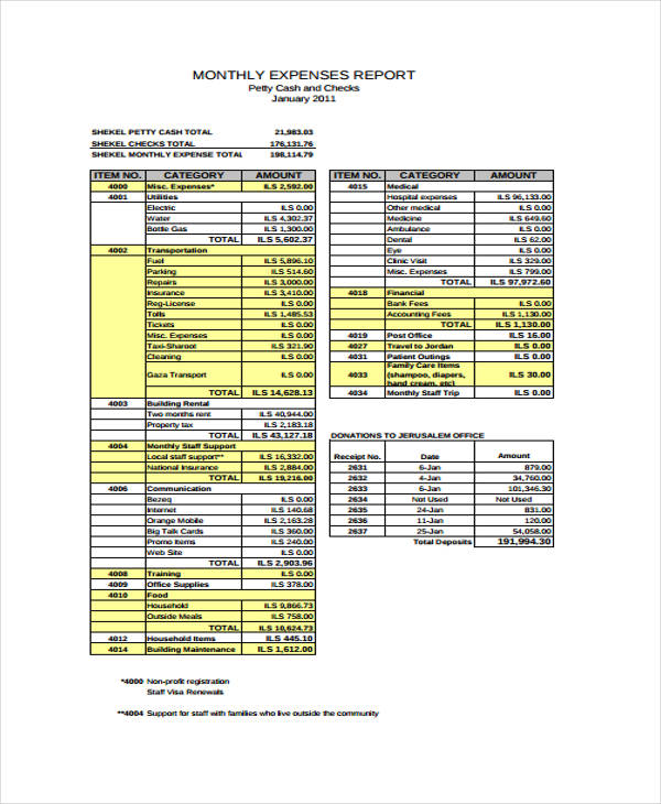 39+ Monthly Report Templates in PDF