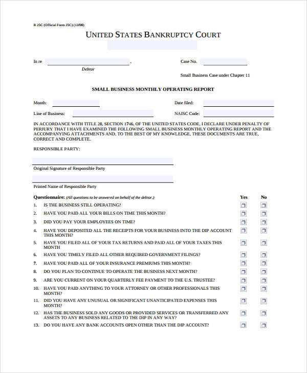 39+ Monthly Report Templates in PDF