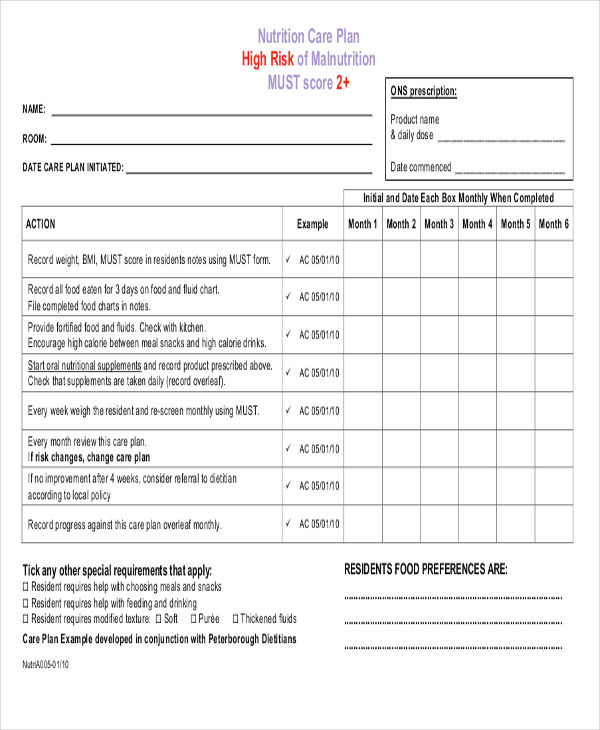 15 Care Plan Templates PDF Google Docs MS Word Pages Samples
